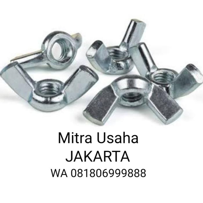 Jual Mur kuping m8 besi Galvanis / Wing nut / Mur kupu kupu - Jakarta ...