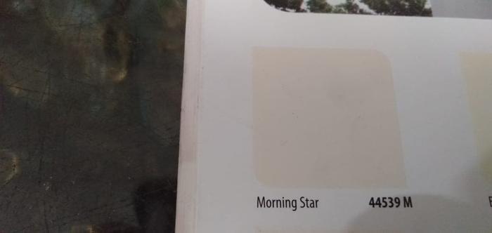 Jual Cat Dulux Weathershield Morning Star 44539M / Pail - Jakarta Timur ...