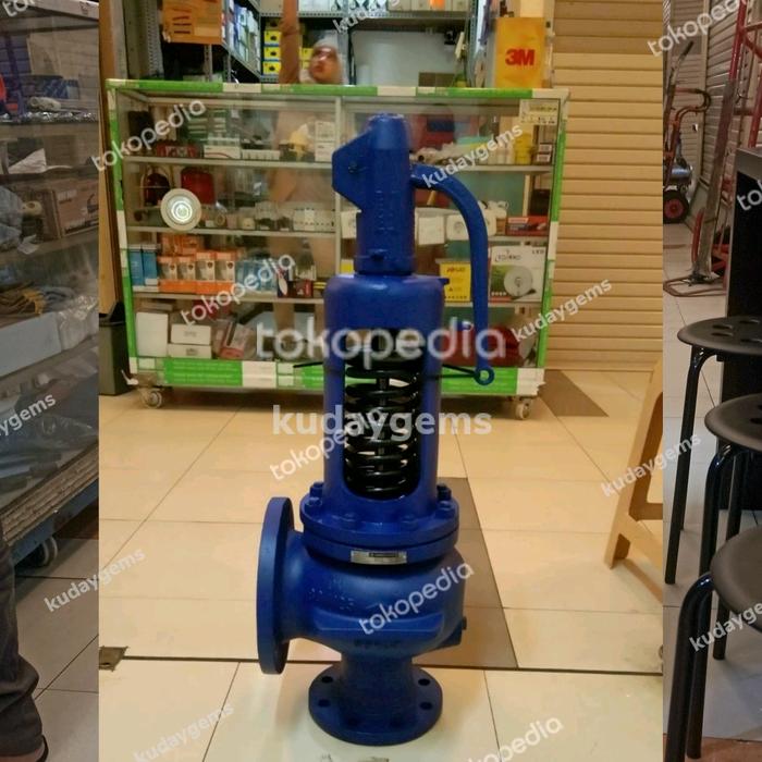 Jual Safety Valve 6" X 10" Inchi DN150 X DN250 PN16 Ari Armaturen ...