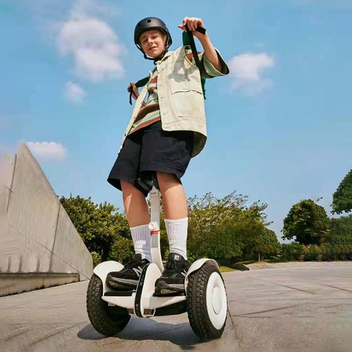 Jual Ninebot Pro 2 Segway Scooter Skuter Listrik Balance With App ...