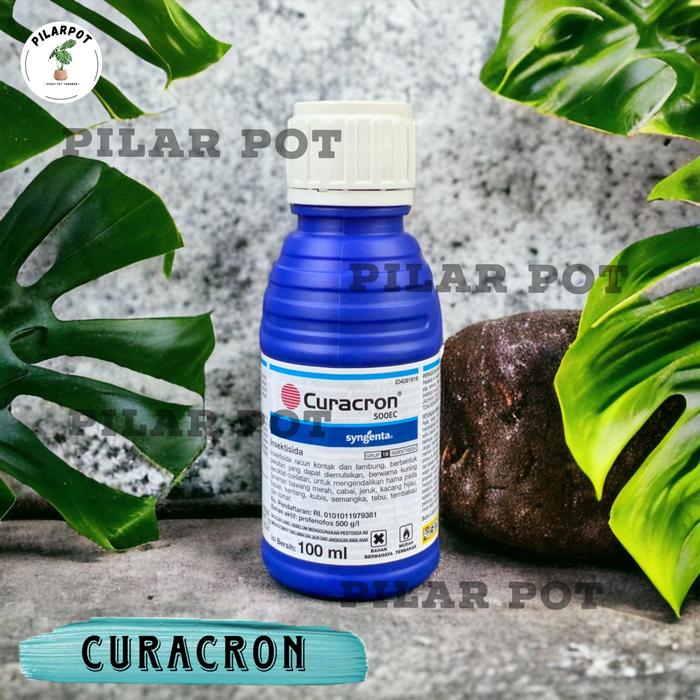 Promo CURACRON 500 EC 100 ML INSEKTISIDA PEMBASMI HAMA DAN KUTU PUTIH ...