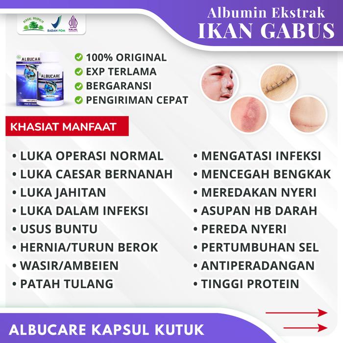 Jual Albucare Kapsul Suplemen Ikan Gabus Albumin Penambah Protein ...