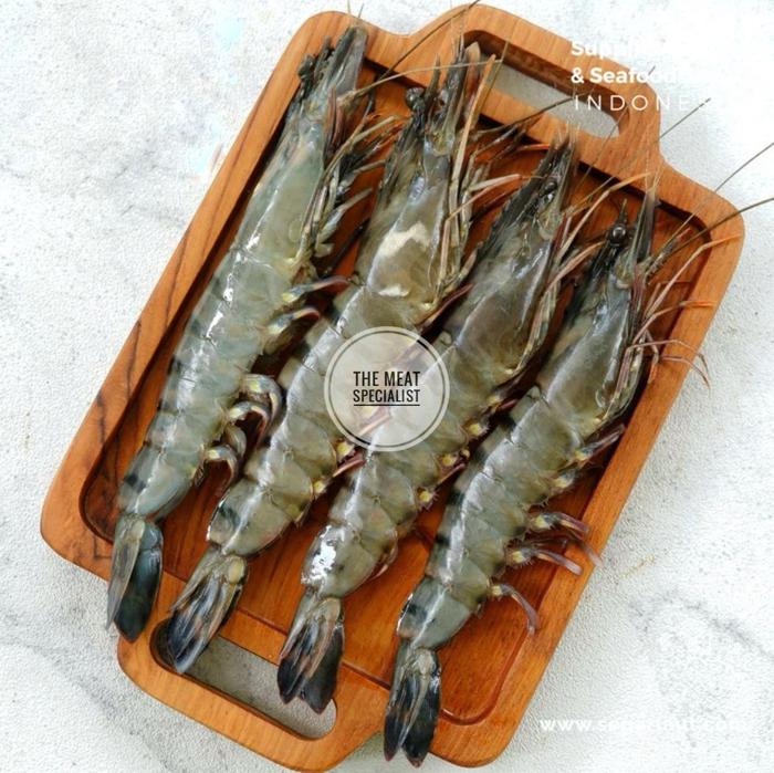 Jual Udang pancet ukuran 30-40 / Tiger prawn export quality best @1kg ...