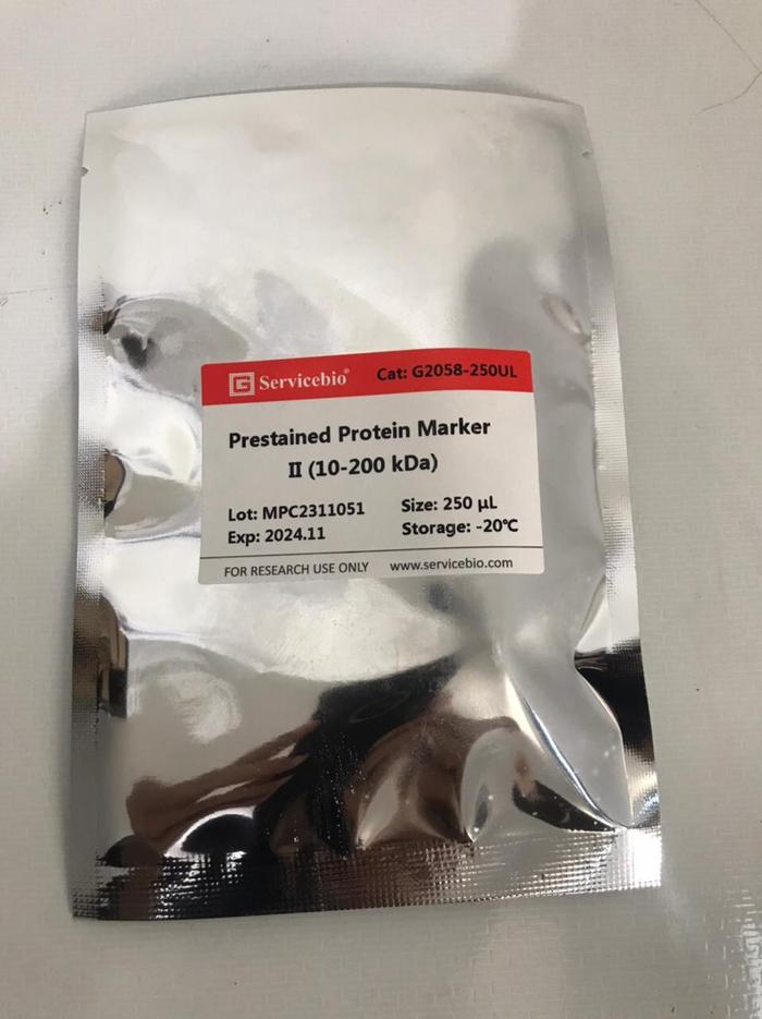 Jual Prestained Protein Marker II (10-200 kDa) - Kota Depok - Labkultur ...