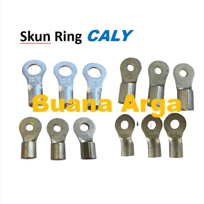 Jual Cable Lug / Kabel Skun Caly 2.5 Ring Polos Lubang baut 3,4,5,6,8 ...