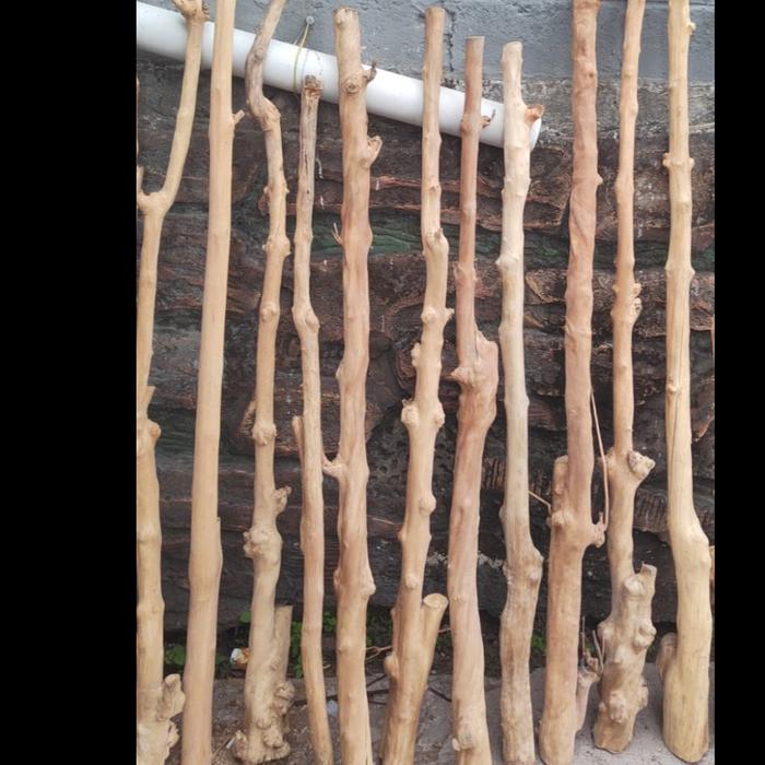 Jual KAYU POHON KOPI JUMBO LURUS UP TO 200cm Diameter 4-10cm - Jakarta ...