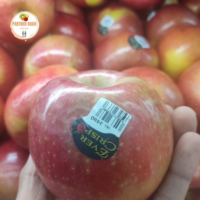 Jual Buah Apel Ever Crispy USA 1 Kg - Jakarta Barat - PartnerBuah ...