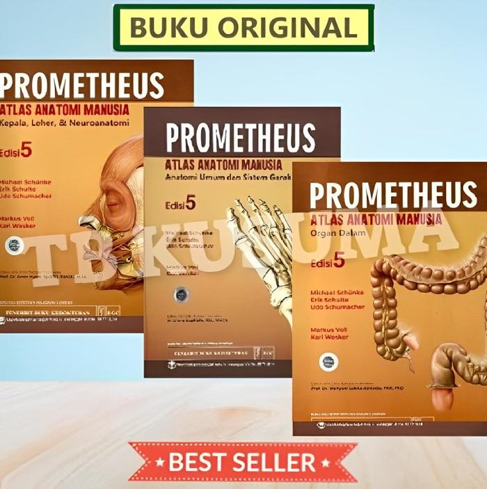 Jual [ ORIGINAL ] Prometheus Atlas Anatomi Manusia Edisi 5 - set 3 buku ...