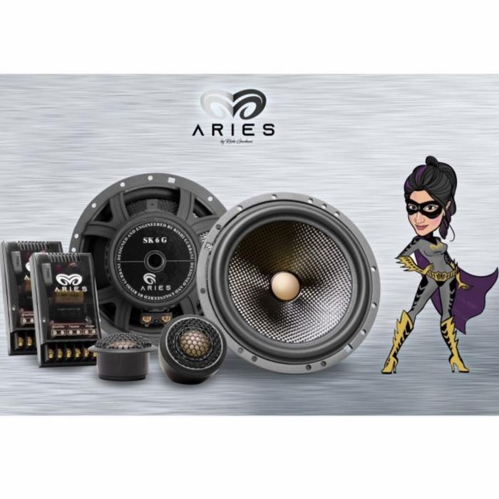 Jual Speaker Split 2 Way ARIES SK 6 G Original High End Component ...