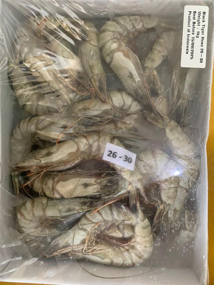 Jual Udang tiger/ udang windu / black tiger prawn kualitas eksport @ 1 ...