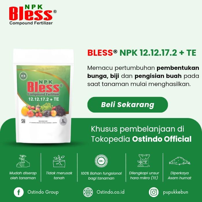 Jual Pupuk Tanaman NPK BLESS 12.12.17.2+TE - Kemasan 1 Kg - Jakarta Barat - Ostindo Official ...