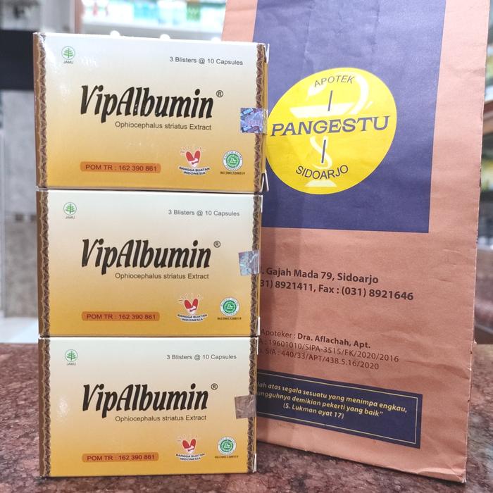 Promo VipAlbumin 1 Box 30 Kapsul / Vip Albumin VipAbumin Ekstrak Ikan Gabus - Kab. Sidoarjo ...