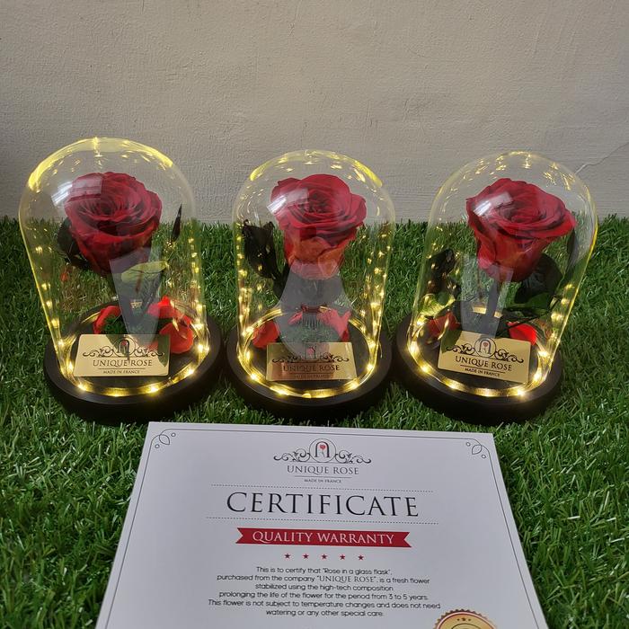 Jual Rose standard size in Glass Dome Mini LED - Jakarta Barat - Unique ...