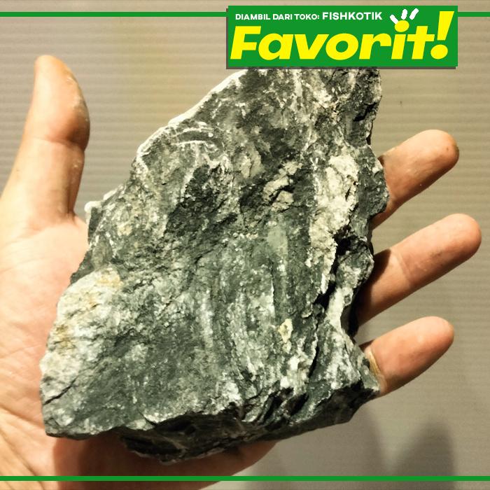 Jual Batu Seiryu Hiasan Aquarium Aquascape Ikan Hias dan Tanaman Air ...