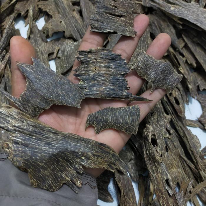 Jual Kayu Gaharu Asli Grenn Kinam Triple Super King 1kg - Kalimantan Utara - Kab. Sidoarjo ...