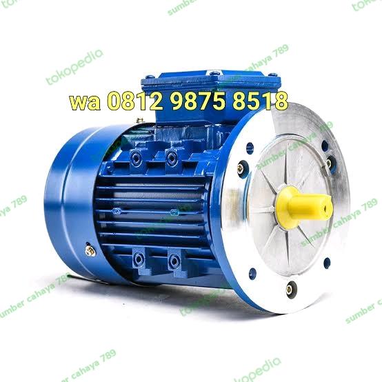 Jual Three Phase Induction Motor TC 71-4 ( flange mounted ) B5 - Kota ...