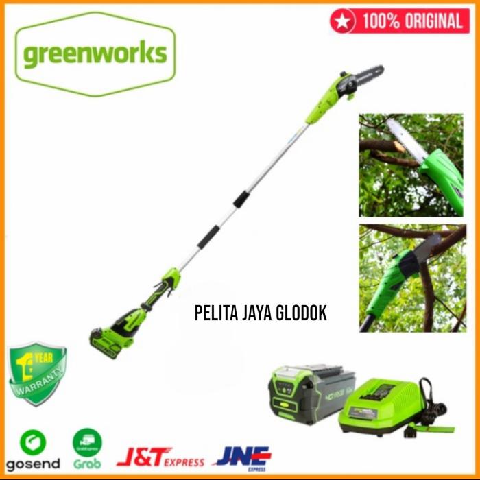Jual Mesin Pemotong Ranting Dahan Pohon Alat Galah Pole Chain Saw 24V ...