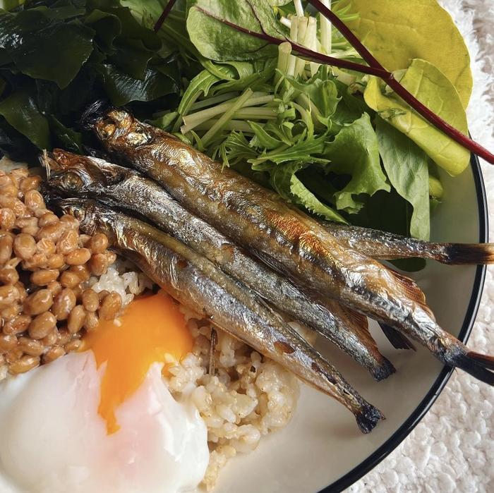 Jual Premium Japanese ShiShaMo Fish / Ikan Shisamo Jepang - Jakarta ...