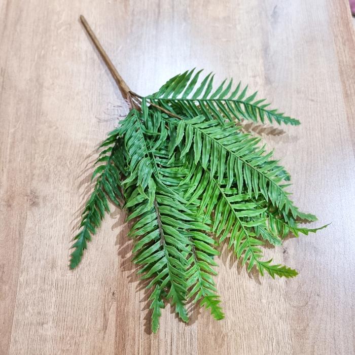 Jual Daun Rumput Pakis Persia Latex Artificial - 1 - Jakarta Barat ...