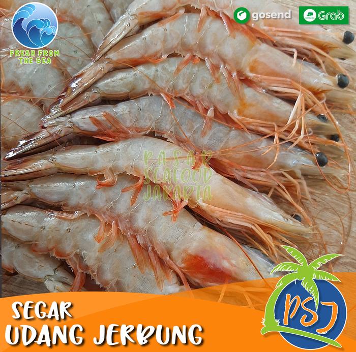 Jual Udang Jerbung/Api/Peci Fresh 500gr - Udang Jerbung Segar Grade A ...