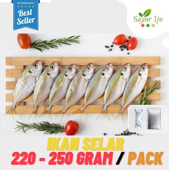 Jual Ikan Selar 220 - 250 Gram / Pack Fresh Frozen Fish Seafood Laut ...