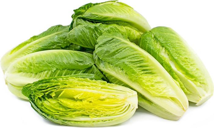 Promo Sayur Segar Selada Romen Romain Romaine Lettuce 500 gr - 1 kg ...