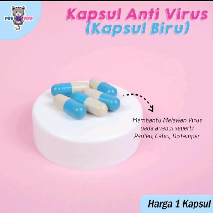 Promo Kapsul Anti Virus Kucing Calici, Panleu dll - Jakarta Selatan ...