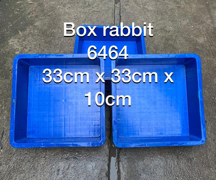 Jual Keranjang Rapat Box Magot Bak Ikan Cupang Box Rabbit 6464 Box ...