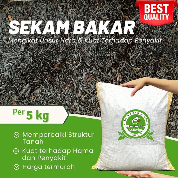 Jual Sekam Bakar Murni 5 Kg Kemasan Karung Media Tanam Arang Areng Padi - Kota Salatiga ...