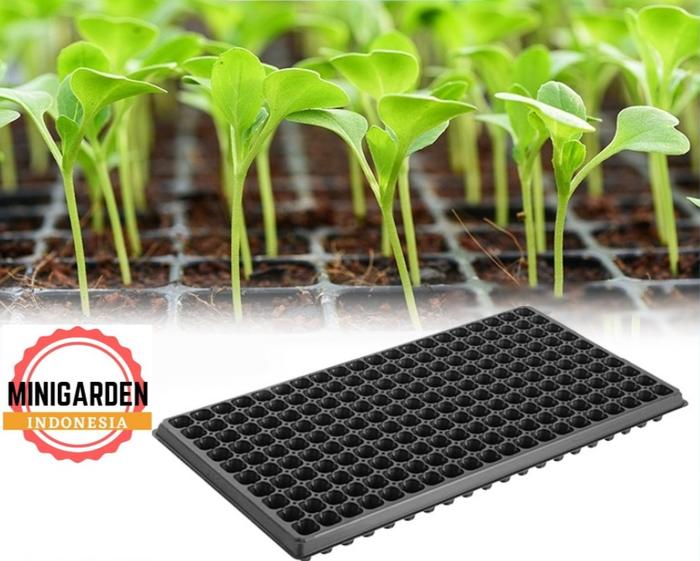 Jual TRAY SEMAI bibit tanaman seeding tray hidroponik pot tray ...
