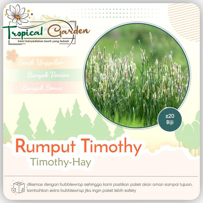 Jual Benih Biji Rumput Timothy Hay Timothy Grass - Kab. Kediri ...
