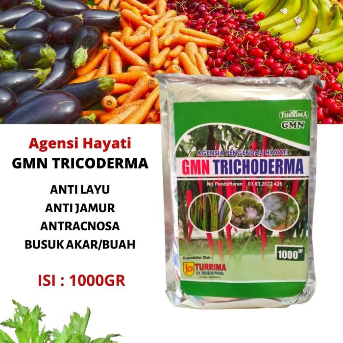 Jual Obat Layu Fusarium Cabe TRICODERMA, Pupuk Fungisida Hayati Trichoderma - Kab. Kebumen ...