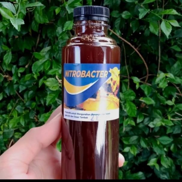 Promo Nitrobac Nitrobacter Probiotik Kolam Koi - Kota Tangerang Selatan ...