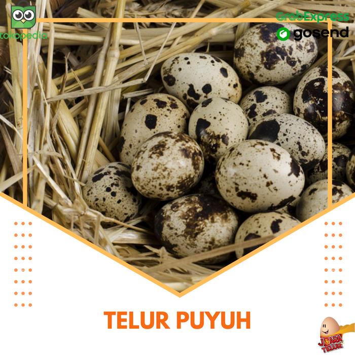 Jual Telur Burung Puyuh ( 45 butir ) - Jakarta Barat - Juara Telur ...