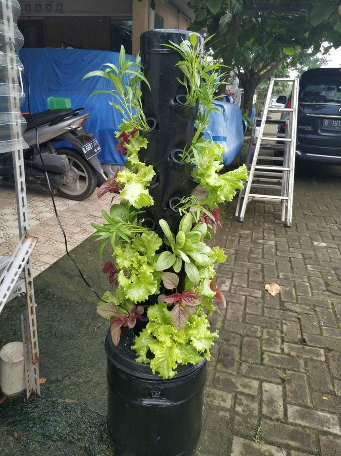 Jual Hidroponik sistem tower pipa 6 inch dengan tong kapasitas 35 liter ...