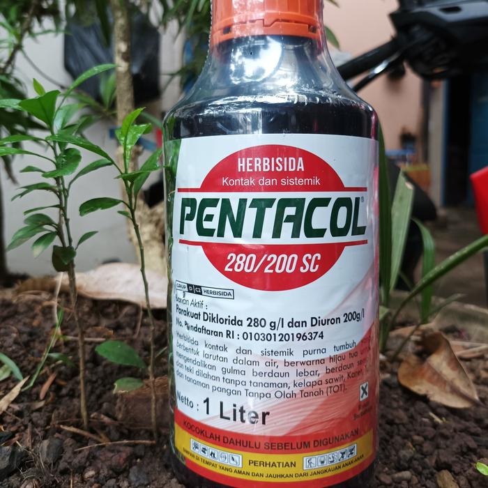 Jual PENTACOL 1L Herbisida Kontak Sistemik Basmi Rumput Cepat Sampai ...