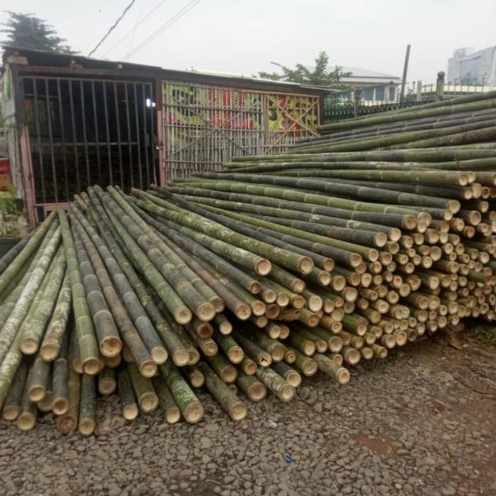 Jual Bambu proyek / Bambu bangunan konstruksi ukuran sedang besar ...