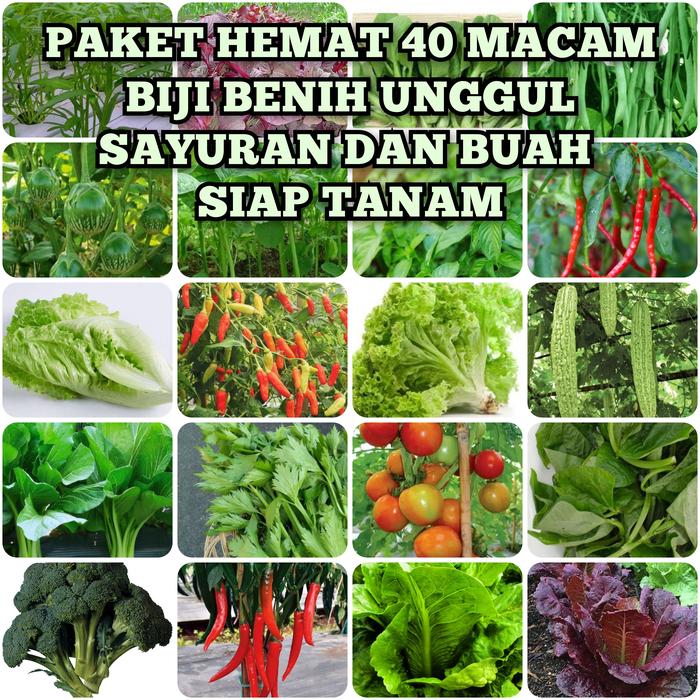 Jual Paket 40 Jenis Benih Sayur dan Buah Paket Lengkap Bibit Sayuran ...