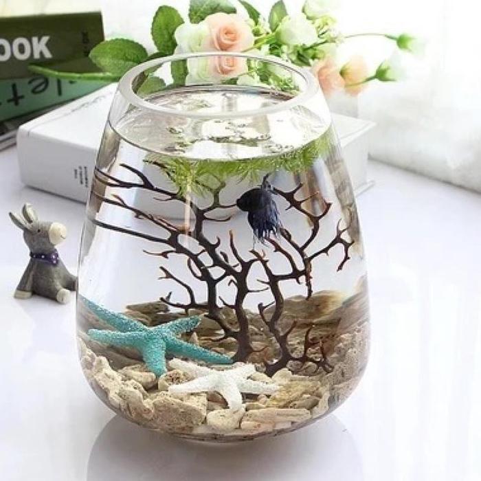 Jual Aquarium Mini Ikan Cupang - Akuarium Bulat - Aquarium Kaca Mini ...
