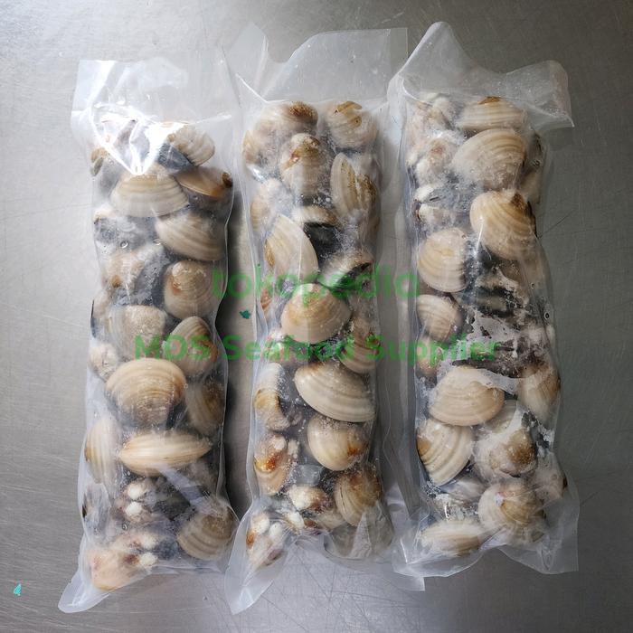 Jual Kerang Tahu Kepa Segar 1kg - Jakarta Utara - MDS Seafood Supplier ...