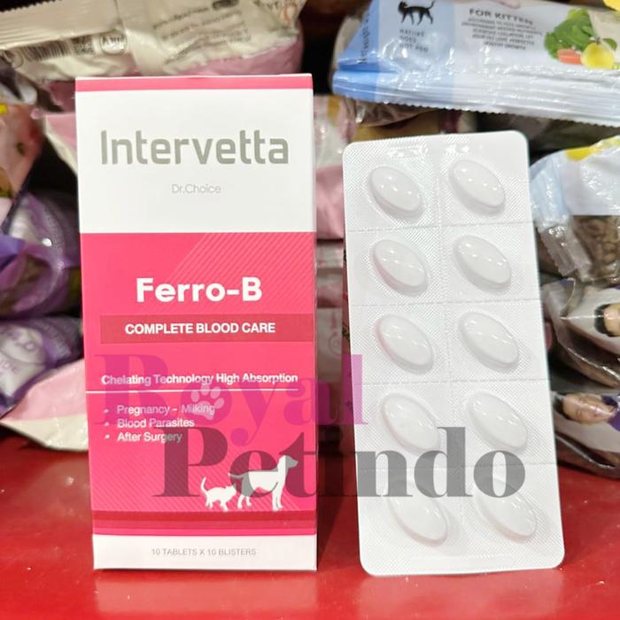 Jual Intervetta Dr Choice Ferro B Blood Care Suplemen Anemia Kucing Anjing - Kota Tangerang ...