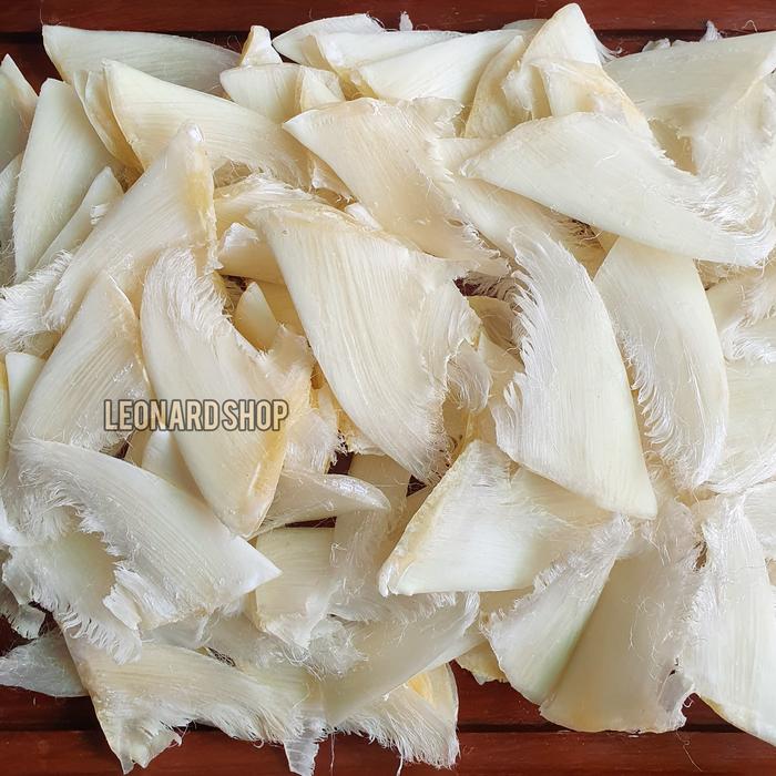 Jual Hisit Utuh Besar Super Tanpa Tulang 鱼翅 Sup Sirip Ikan Hiu Tebal ...