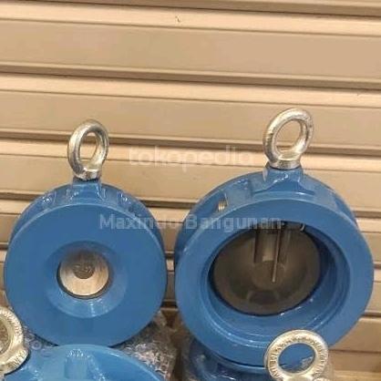 Jual Wafer Check Valve 8" Inch Single Door Cast Iron DN 200 - Jakarta ...