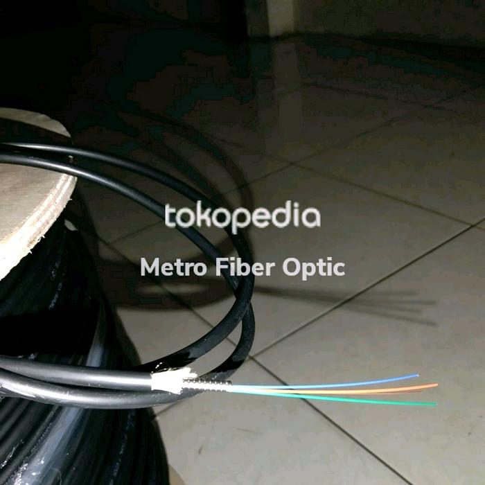 Jual Armored Cable Fiber Optic 4 Core OM4 Multimode 50/125um LSZH 30 ...