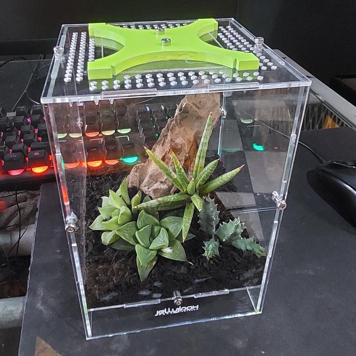 Jual Box Tarantula acrylic / isopod /Jumping Spider / Kalajengking ...