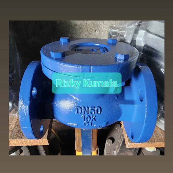 Jual Swing Check Valve 2" Inch Cast Iron Flange Jis 10K DN50 - Kota ...