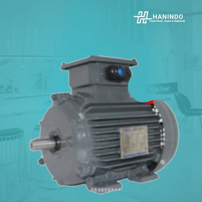 Jual TECO 2 HP 1.5 KW 3 Phase 4 Pole B3 Elektro Motor/dinamo/Motor Induksi - Kota Bandung ...
