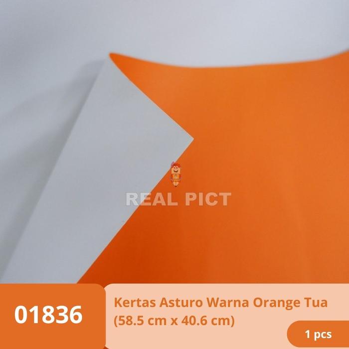 Jual Kertas spotlight / karton Asturo warna Polos (58.5cm x 40.6cm ...