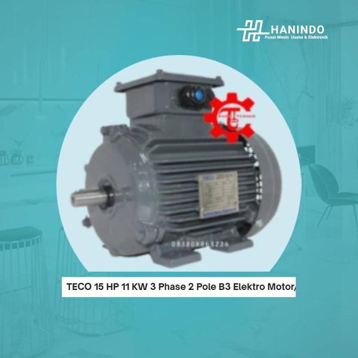 Jual TECO 15 HP 11 KW 3 Phase 2 Pole B3 Elektro Motor/dinamo/Motor Induksi - Kota Bandung ...