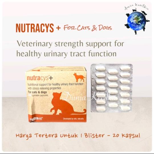 Jual Nutracys Urinary Tract Suppor Suplemen Kemih Kucing Anjing 1 ...